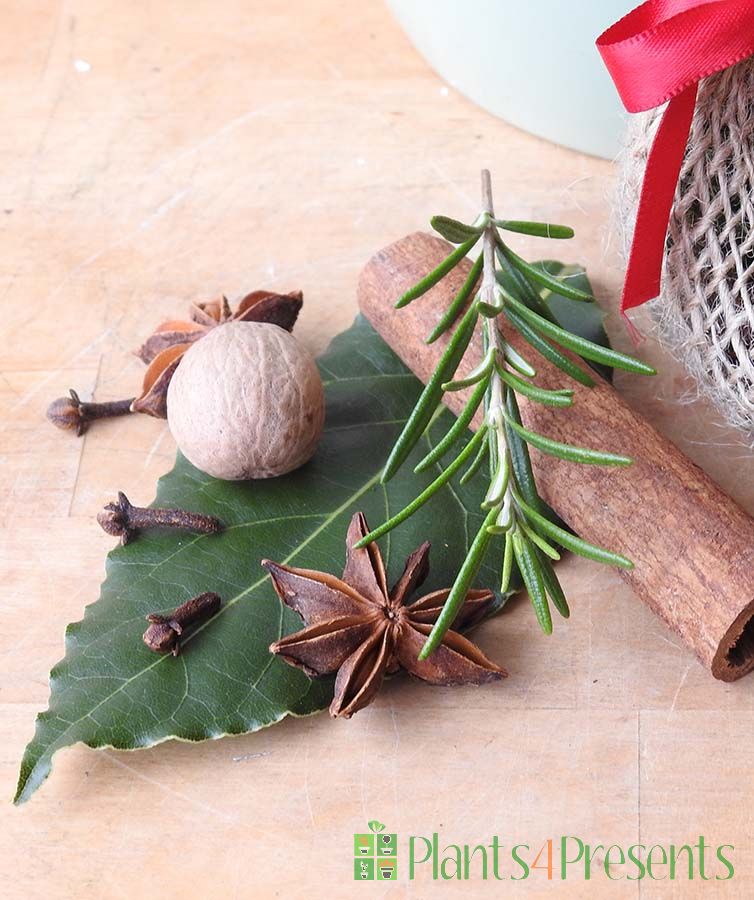 Mulled Wine Gift Set | Plant gifts for foodies or wine lovers