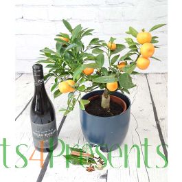 Mulled Wine Gift Set | Plant gifts for foodies or wine lovers