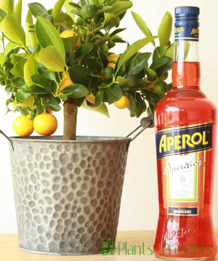 Aperol Spritz Gift Set