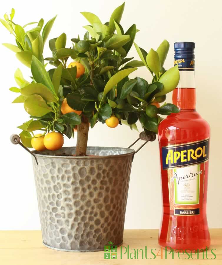 Aperol Spritz Gift Set